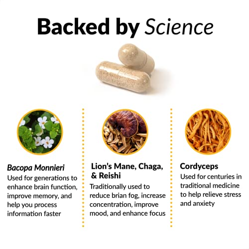 Natural brain booster for students