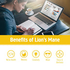 Natural brain booster Lion's Mane