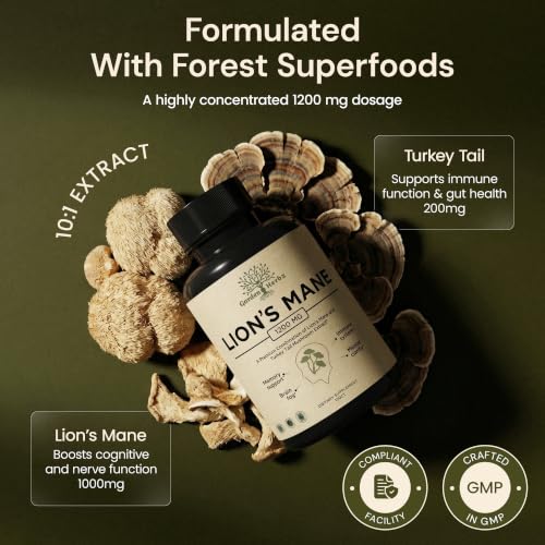 natural brain booster Lion's Mane