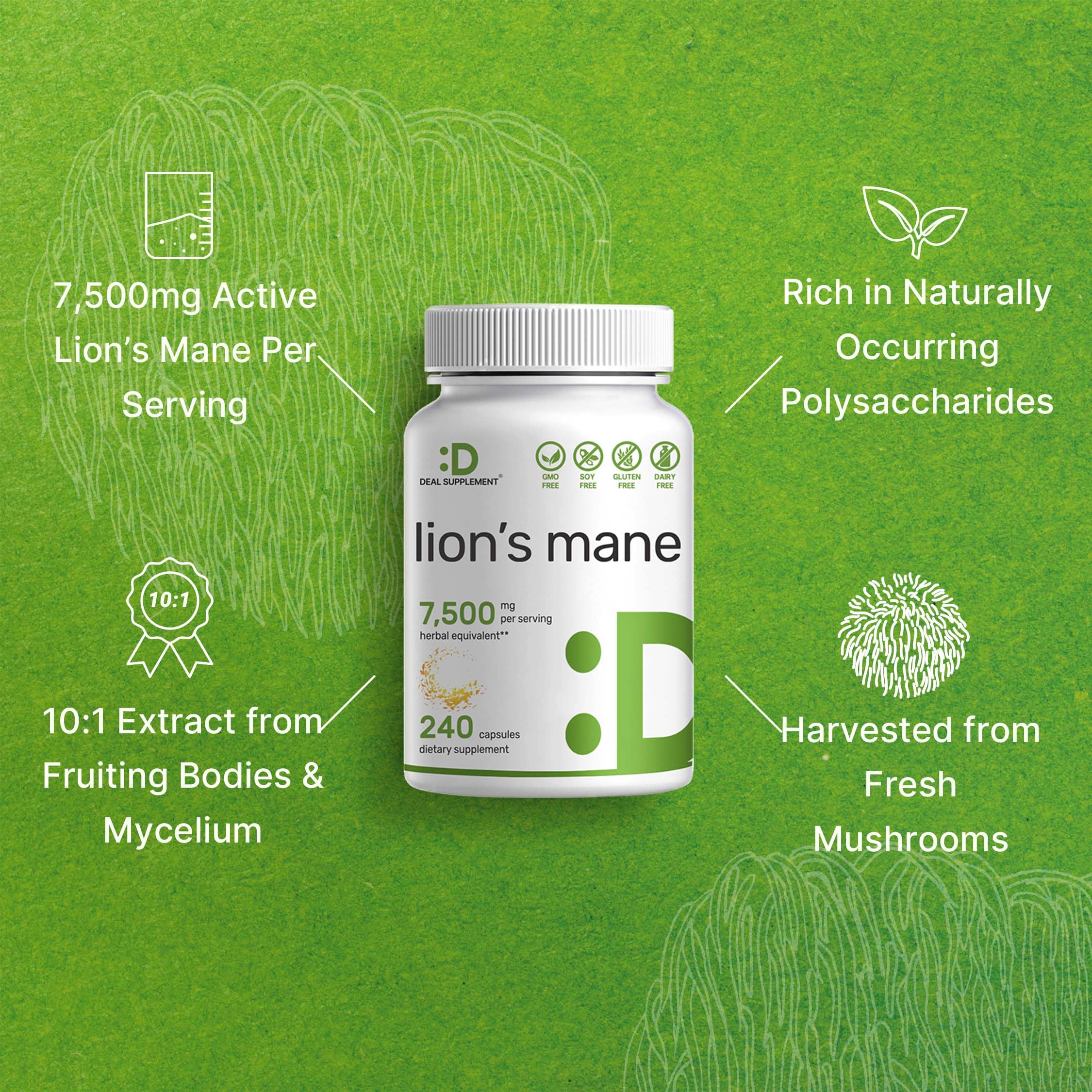 Natural brain booster Lions Mane mushrooms