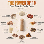 natural brain booster with mushrooms