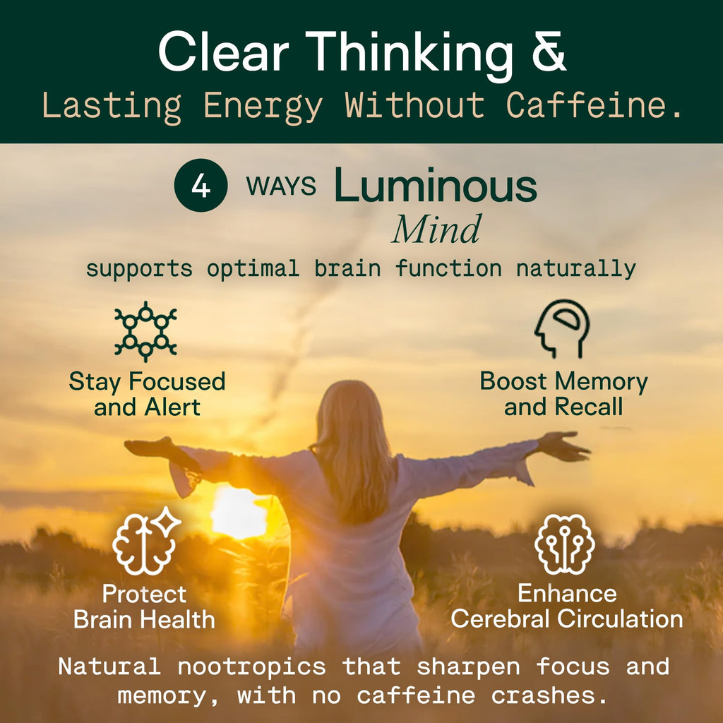 Natural brain booster with mushrooms