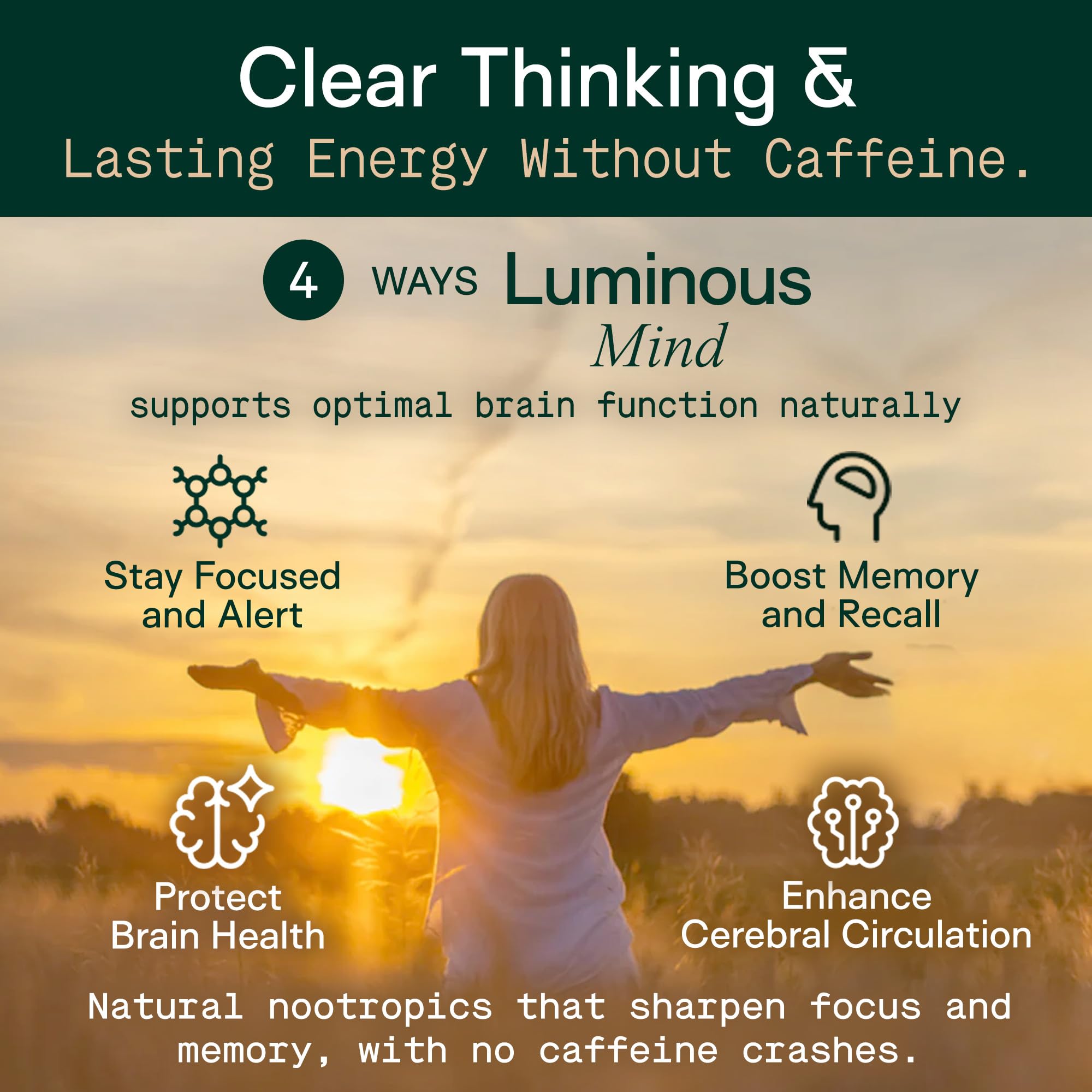 Natural brain booster with mushrooms
