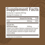 Natural brain fuel with OM mushrooms