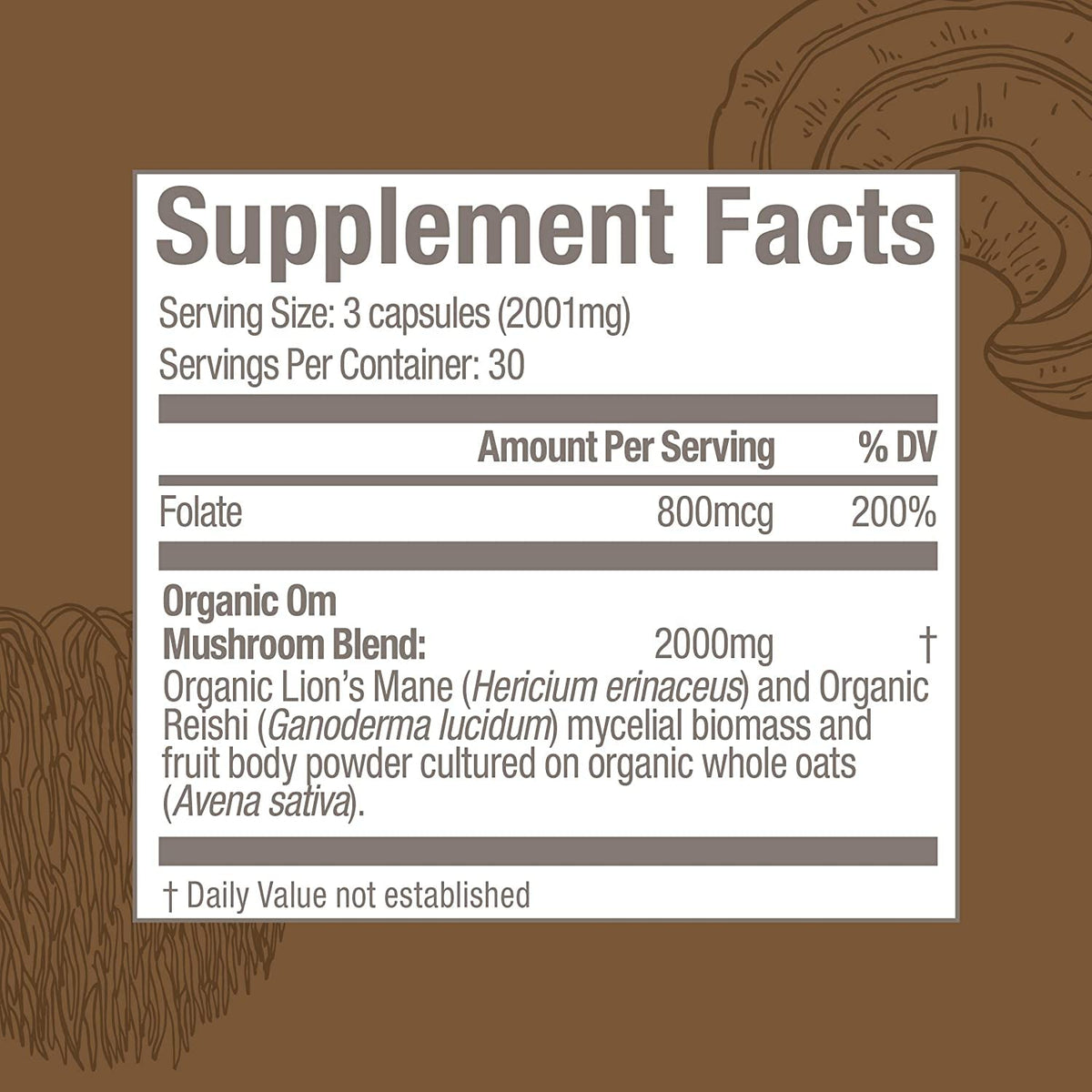 Natural brain fuel with OM mushrooms