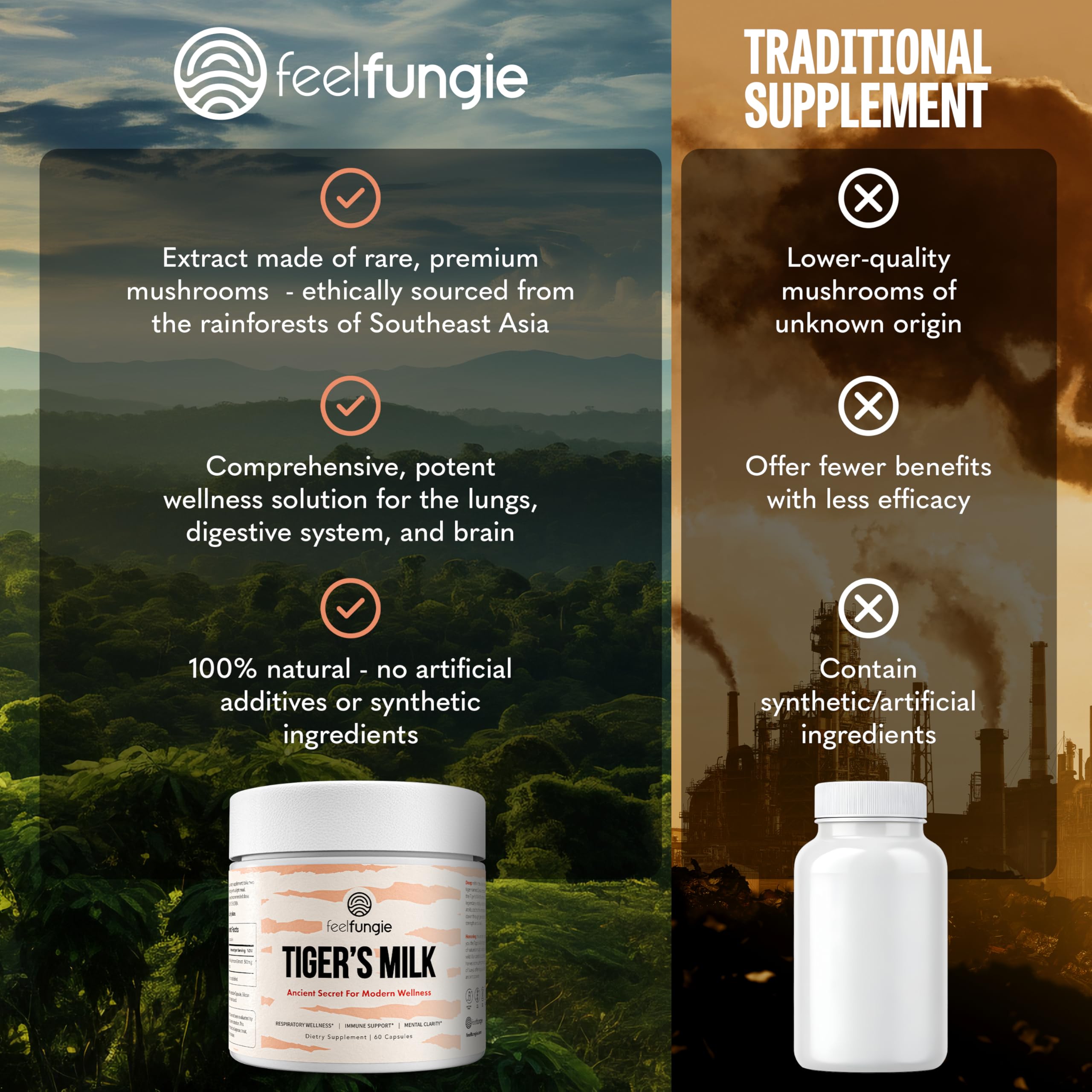 natural brain health supplement mushrooms