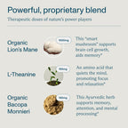 natural brain health supplement