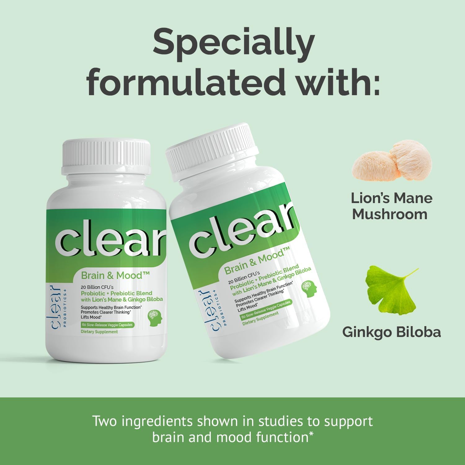 natural brain health with ginkgo