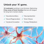 natural brain supplement for adults