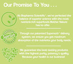 natural brain supplement for focus