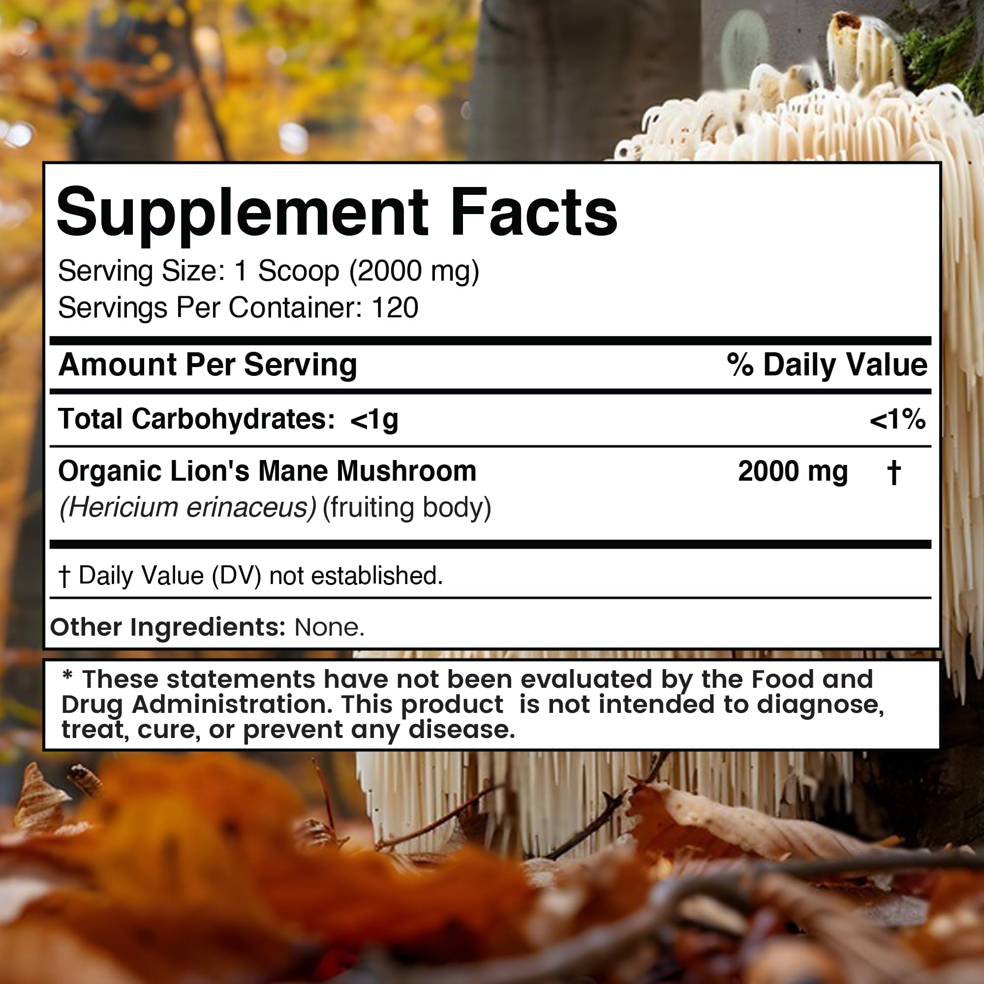 natural brain supplement for memory
