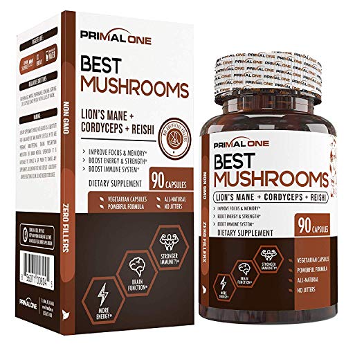 Natural brain supplement with mushrooms