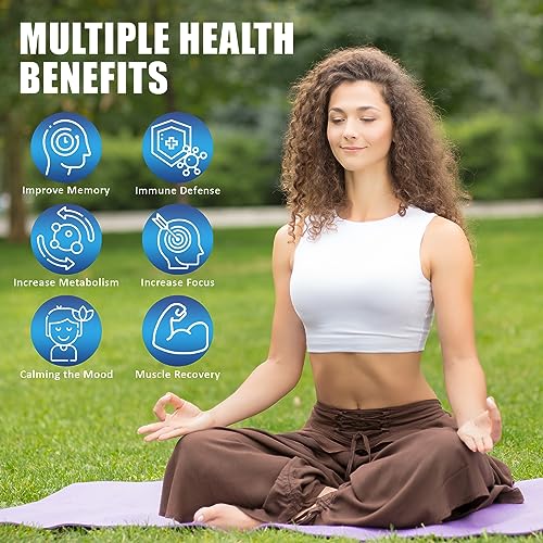 Natural brain supplement with mushrooms