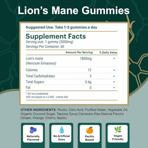 Natural brain supplement with mushrooms