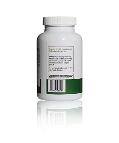 natural brain support for busy lifestyles
