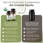 natural brain support lion's mane