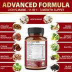 natural brain support lion's mane