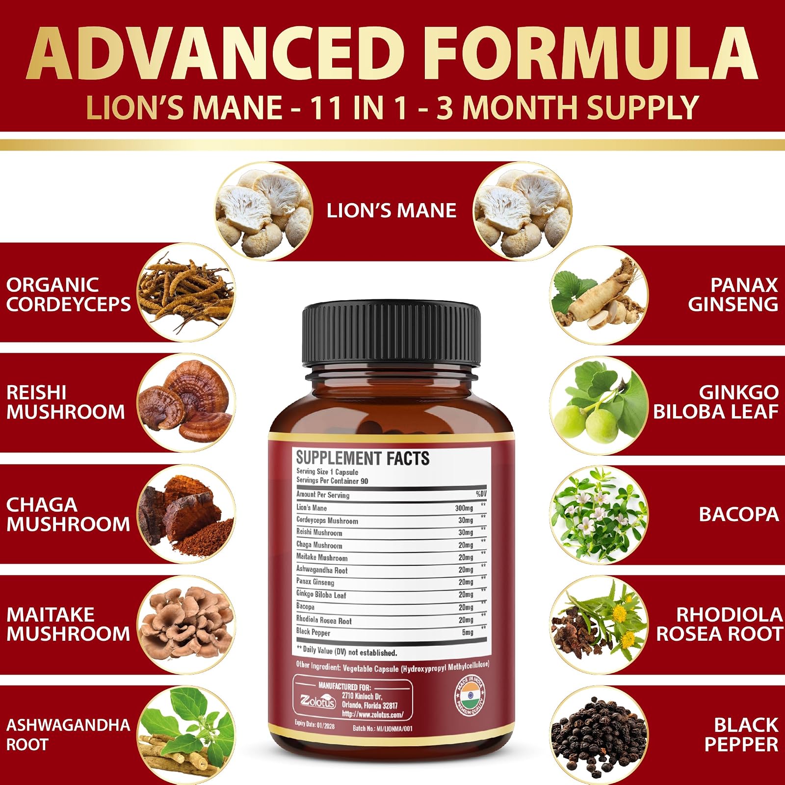 natural brain support lion's mane