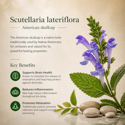 natural brain support supplement