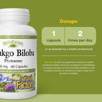 Natural brain support with Ginkgo