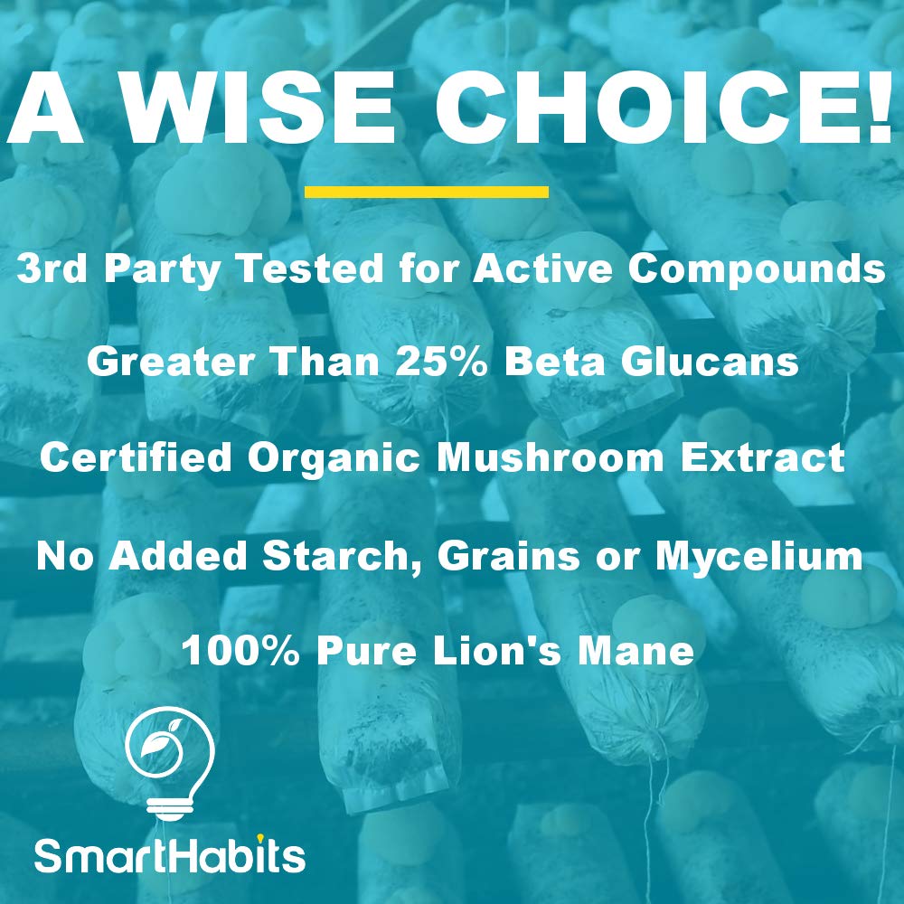 natural brain support with lions mane
