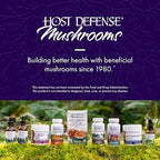 Natural brain support with mushrooms
