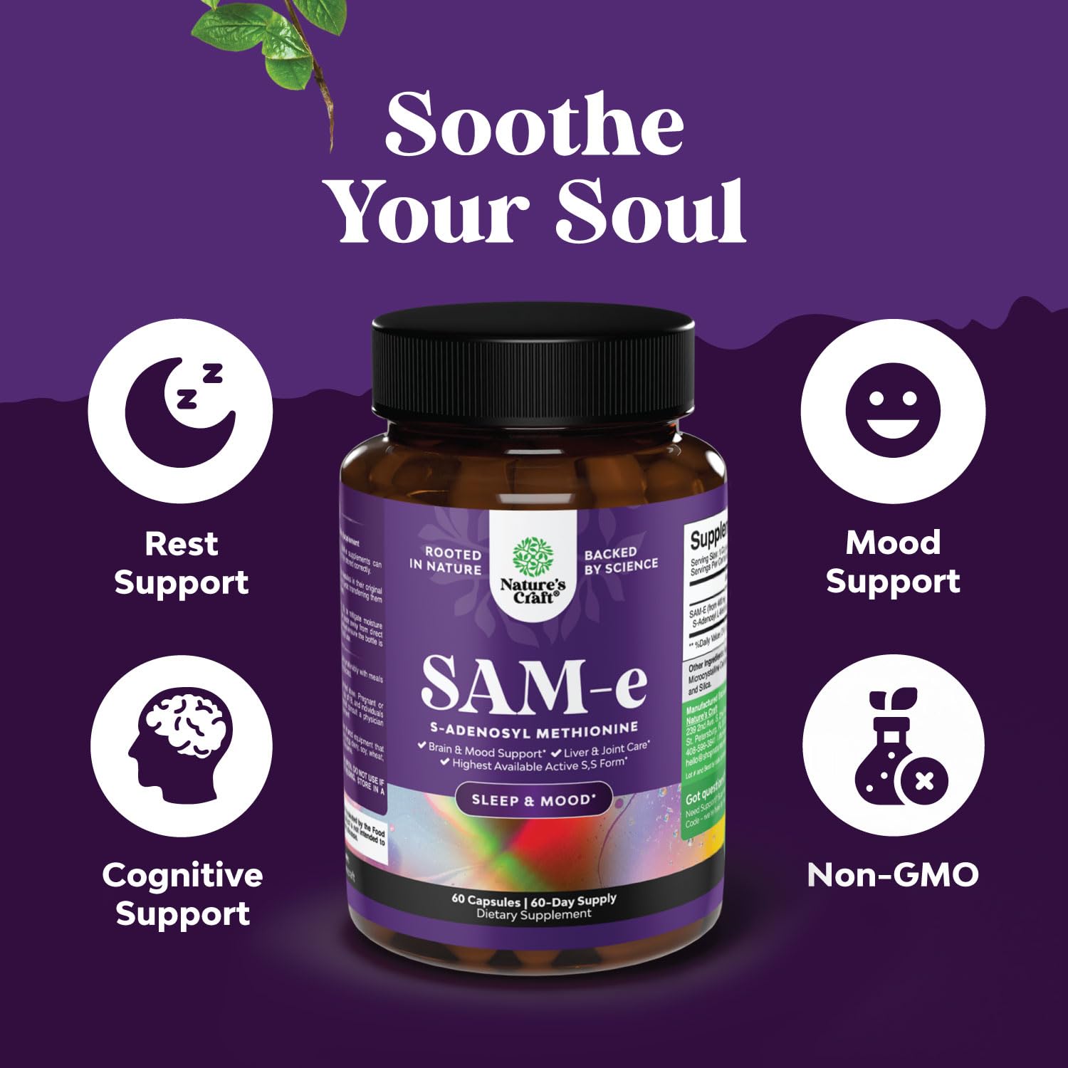 natural brain support with Sam-E