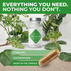 natural broccoli sulforaphane supplement