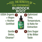 natural burdock root extract benefits