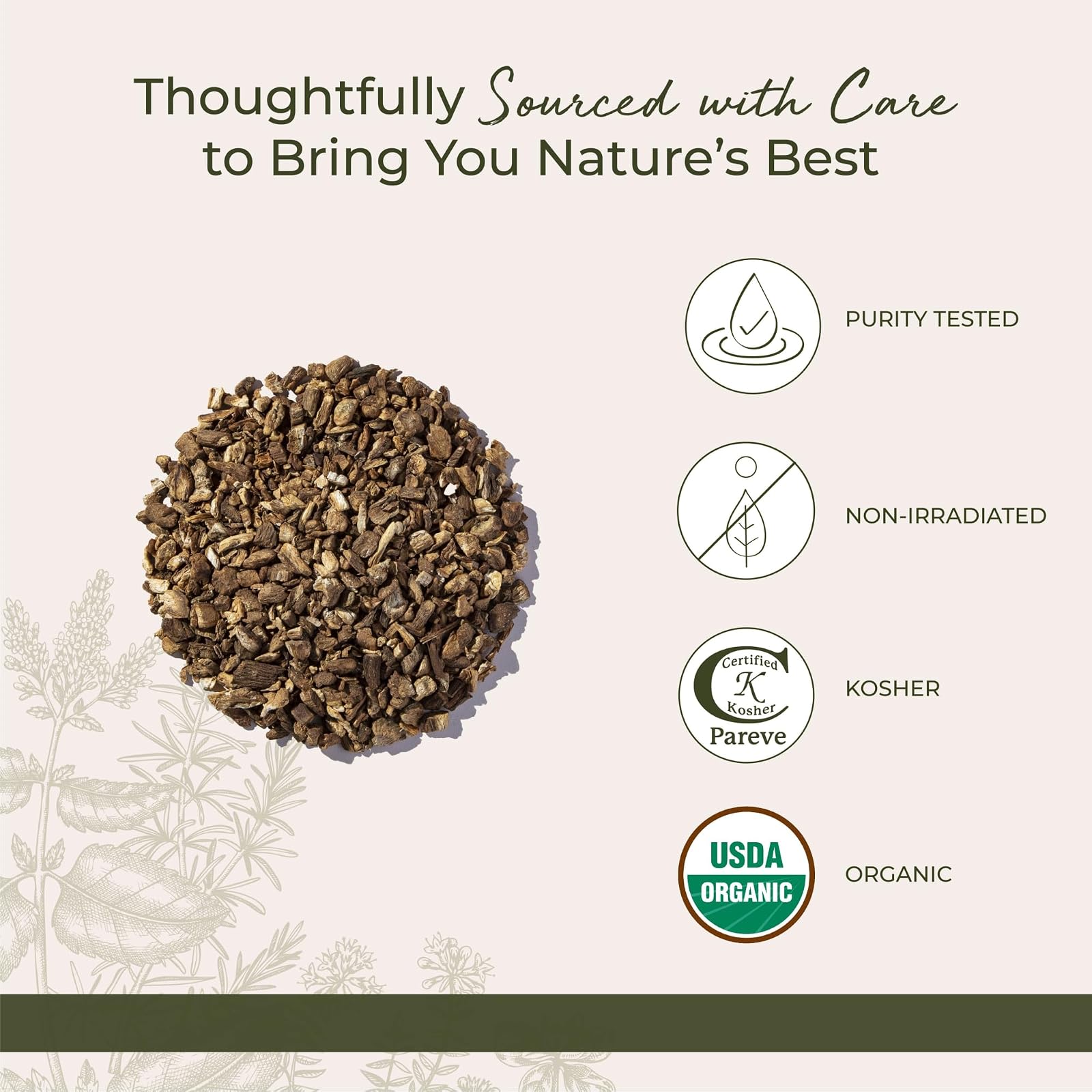 natural burdock root for detox