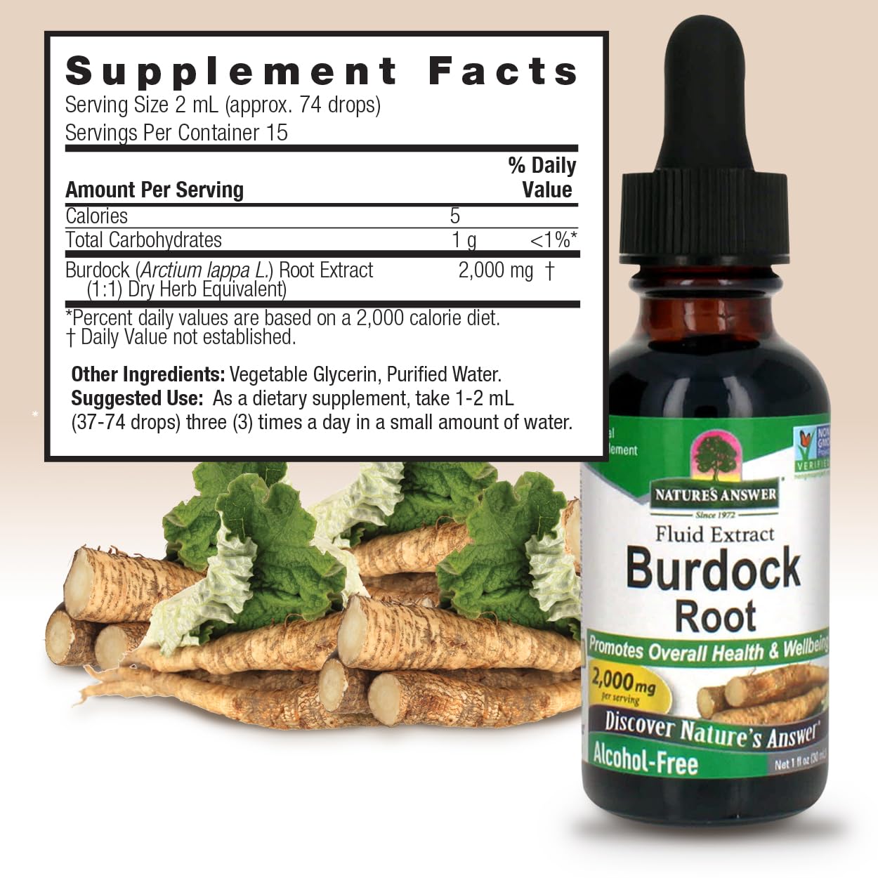 natural burdock root for vitality