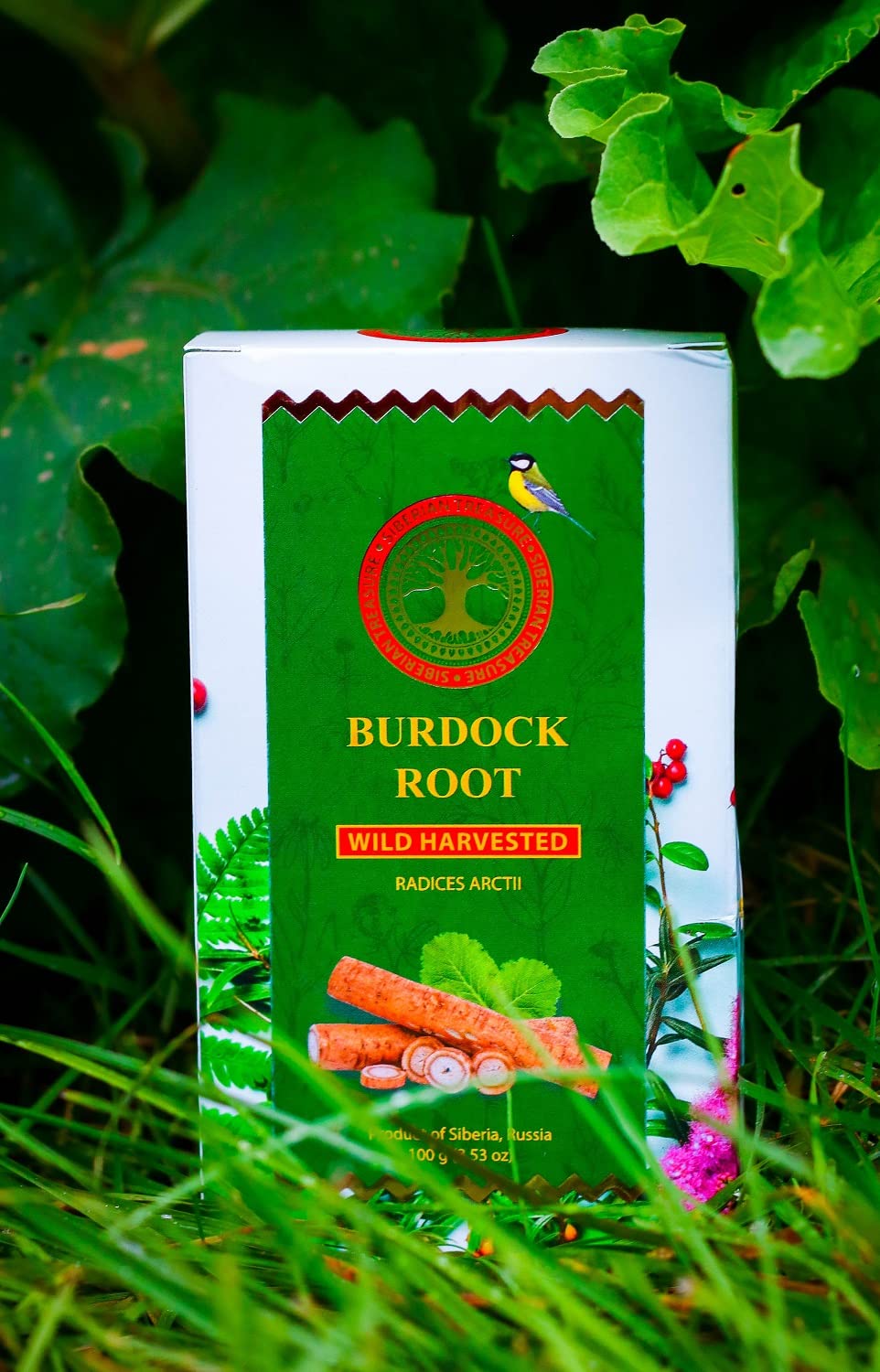 Natural burdock root for wellness