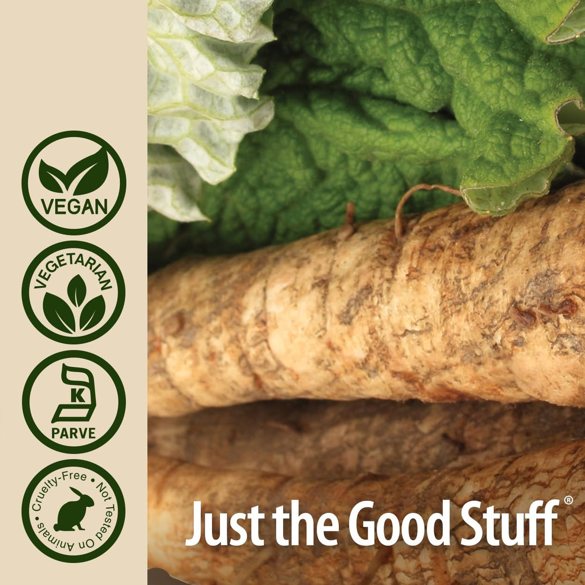 Natural Burdock Root health benefits