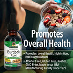natural burdock root health benefits