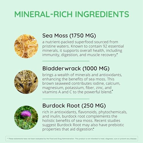 natural burdock root in capsules
