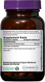 natural burdock root supplement benefits