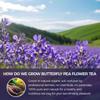 natural butterfly pea flower infusion