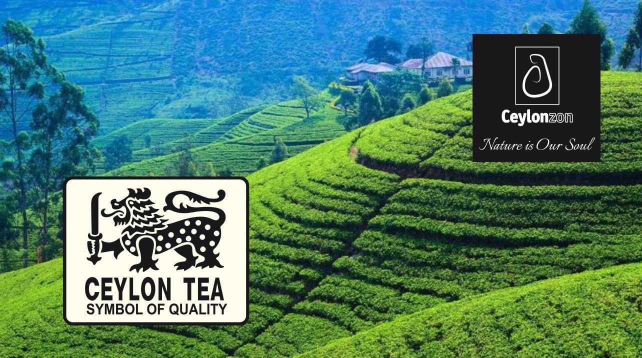 natural caffeine boost with green tea