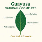 natural caffeine boost with Guayusa