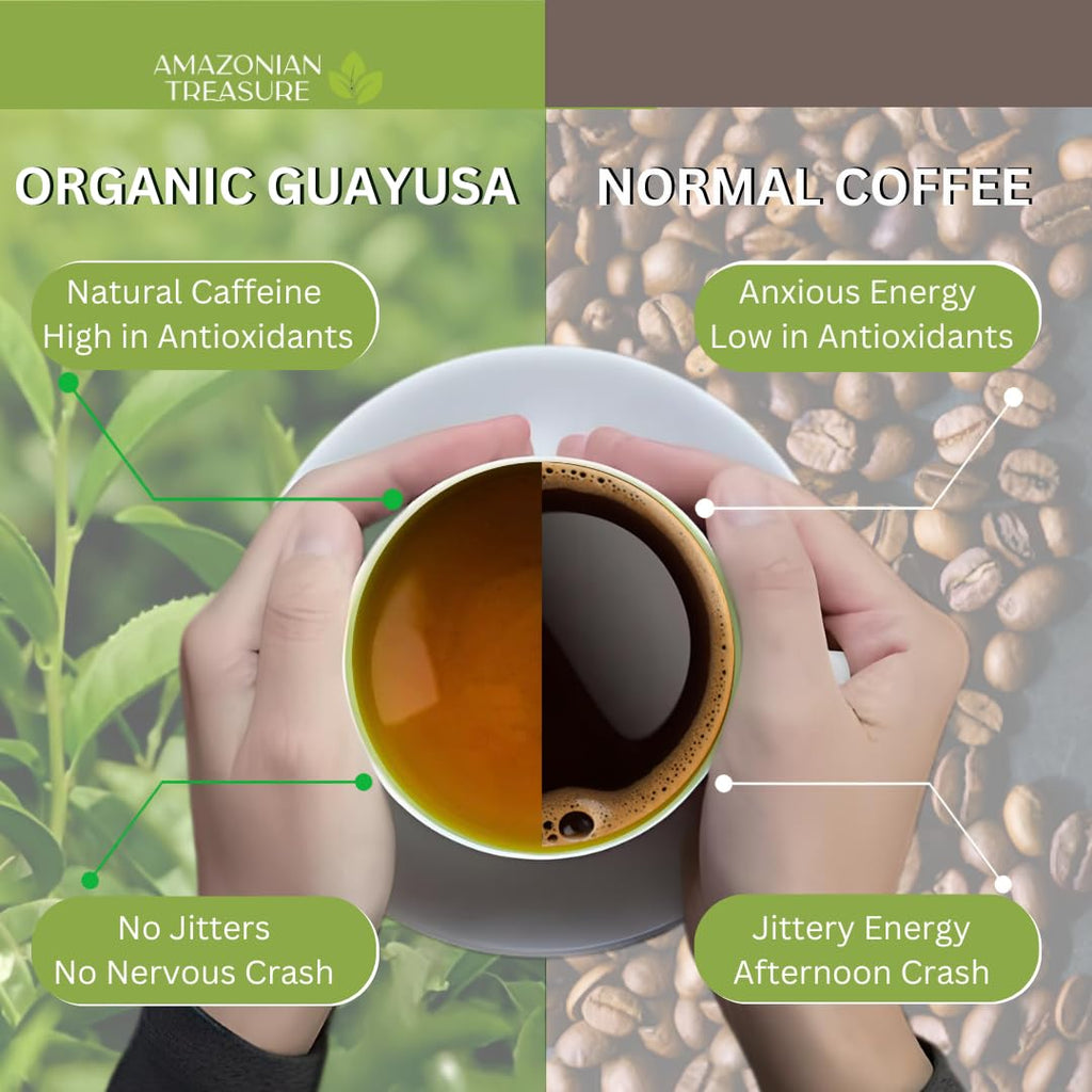 natural caffeine guayusa tea experience
