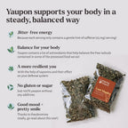 natural caffeine herbal tea