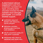 Natural calcium for strong bones in pets