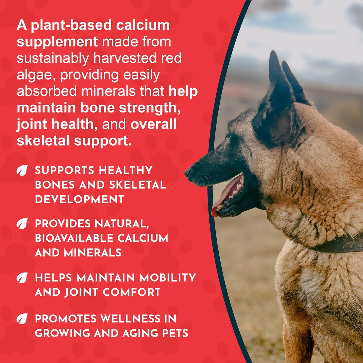 Natural calcium for strong bones in pets