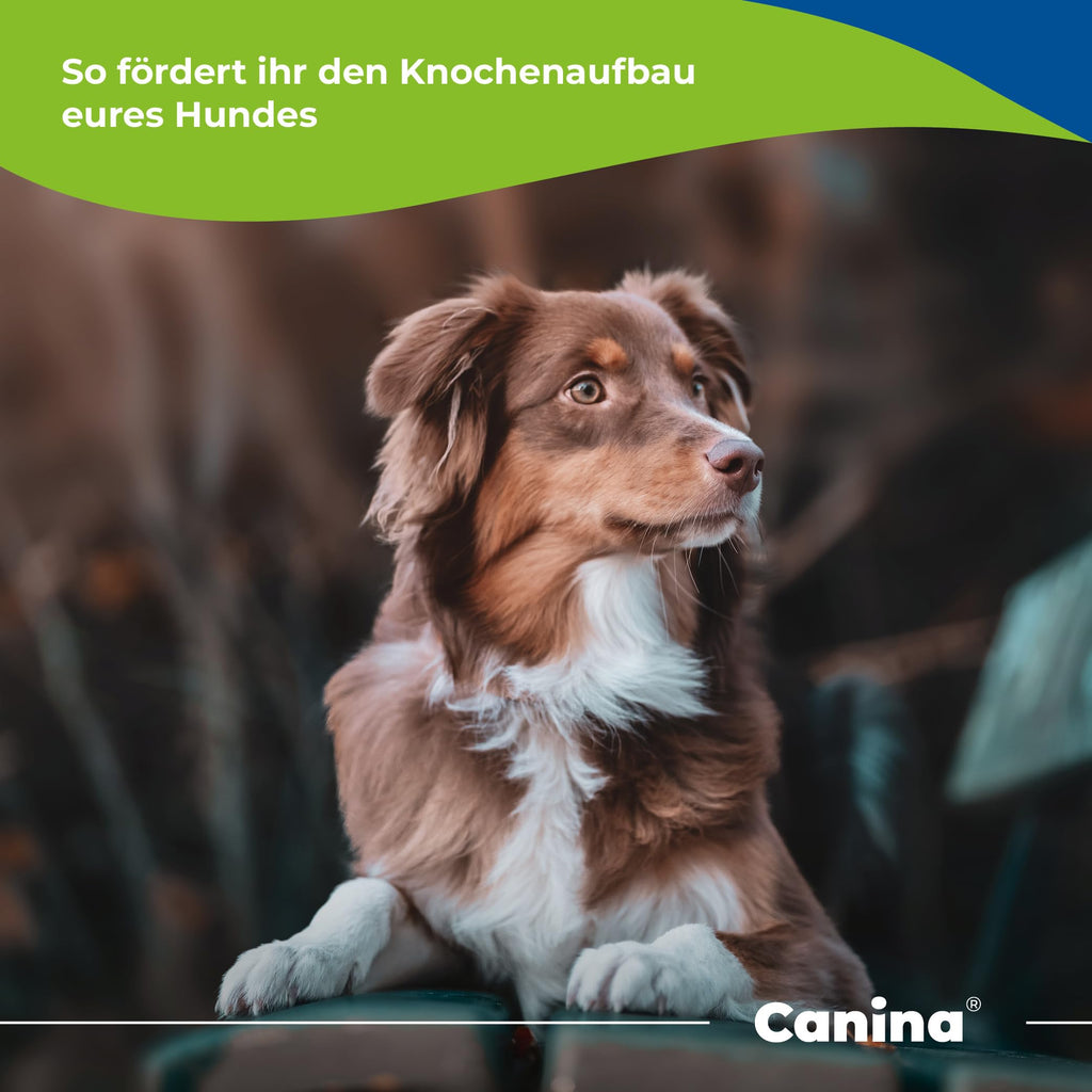 natural calcium source for animals