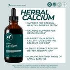 natural calcium supplement for bones
