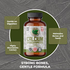 natural calcium supplement for bones