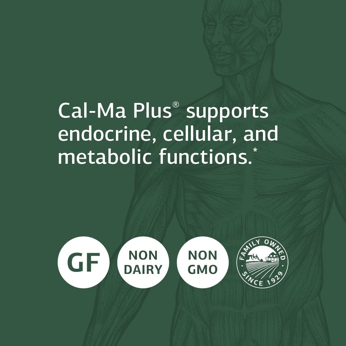 Natural calcium support for daily wellness