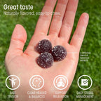 natural calm gummies for wellness
