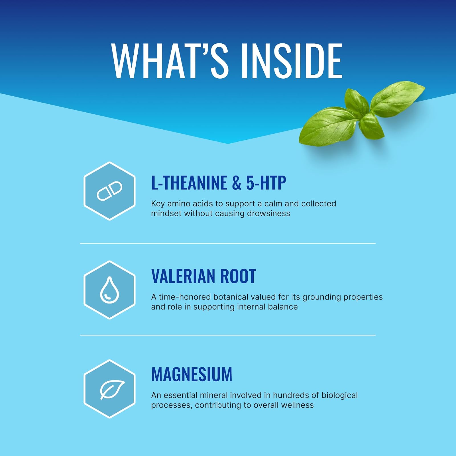 natural calm with l-theanine