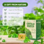 natural Centella Asiatica leaf infusion